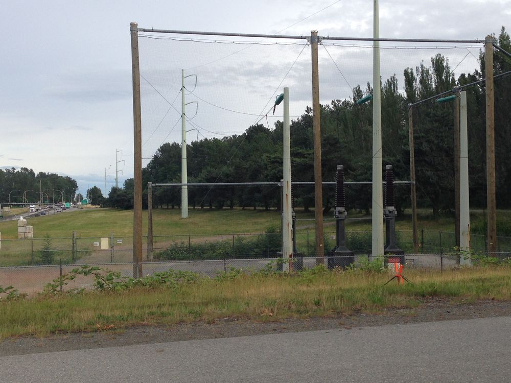 BC Hydro transmission towers could soon rise above Deas Island Park ...