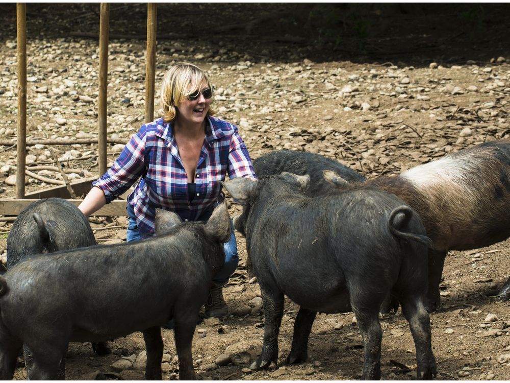 Farm market producers: Passion for pasture-raised meat | Vancouver Sun