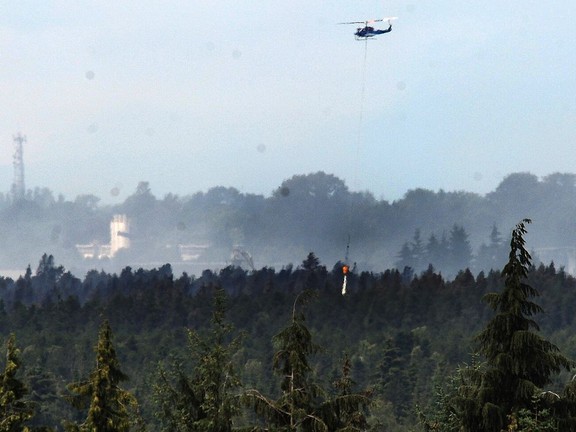 BC firefighters contain about 50 per cent of Burns Bog blaze ...