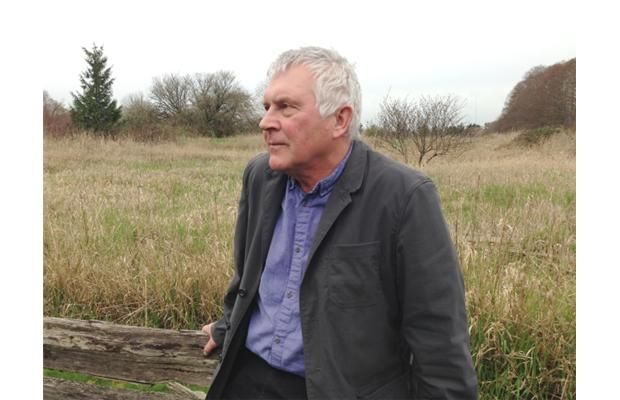 Tiny algae could block Metro Vancouver’s Roberts Bank container ...