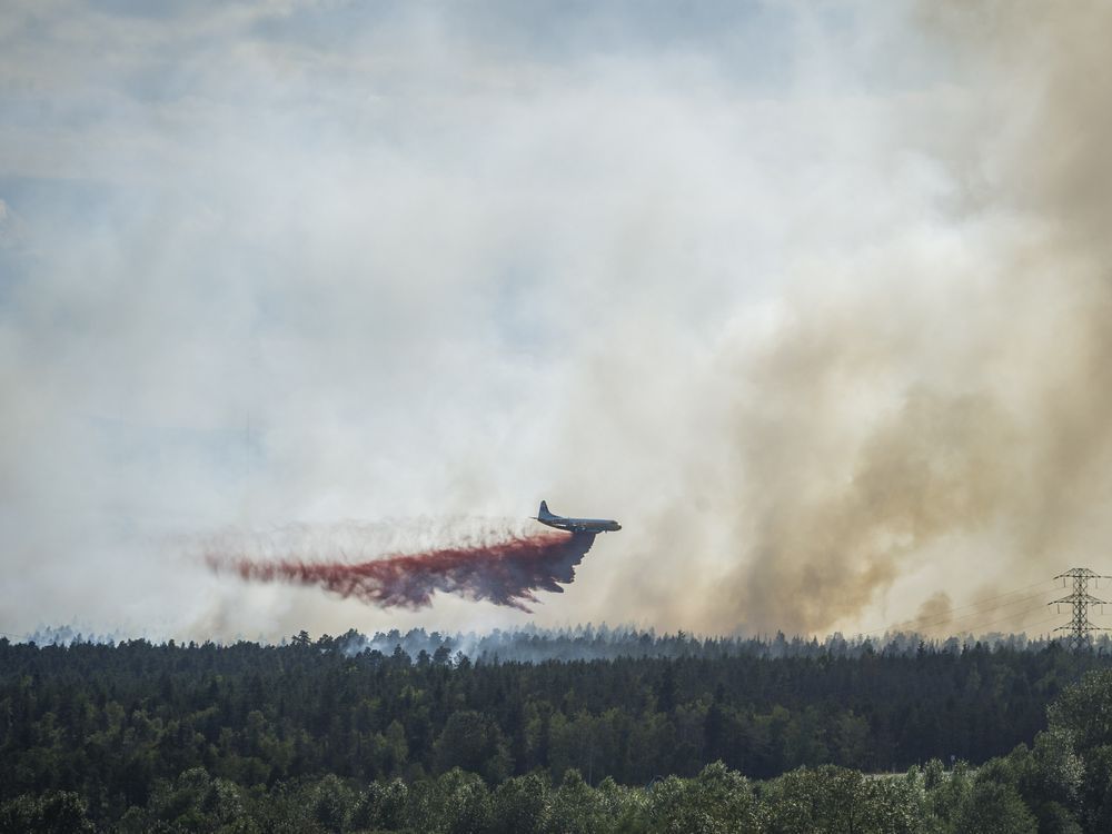 BC firefighters contain about 50 per cent of Burns Bog blaze ...