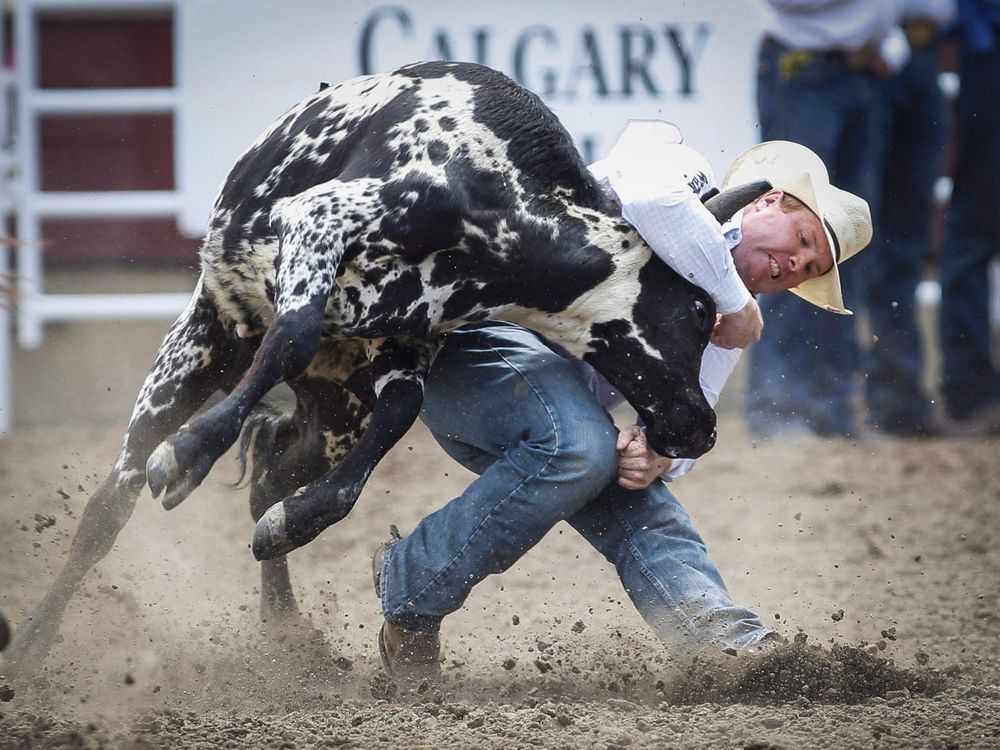 Opinion: Rodeo animals suffer to amuse the audience | Vancouver Sun