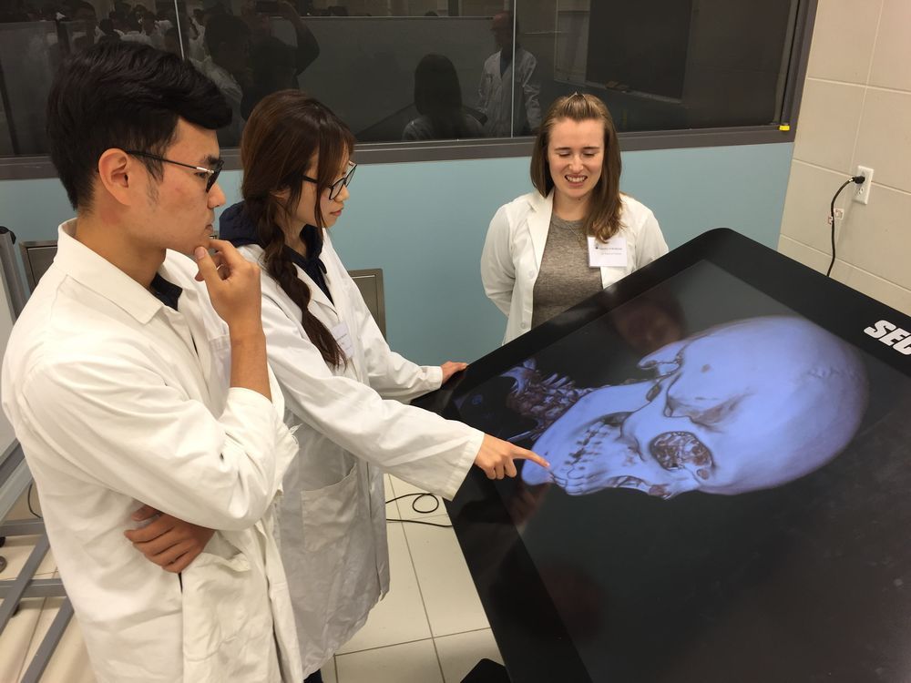 "iPad" imaging tool lets UBC medical students see human anatomy in 3D ...