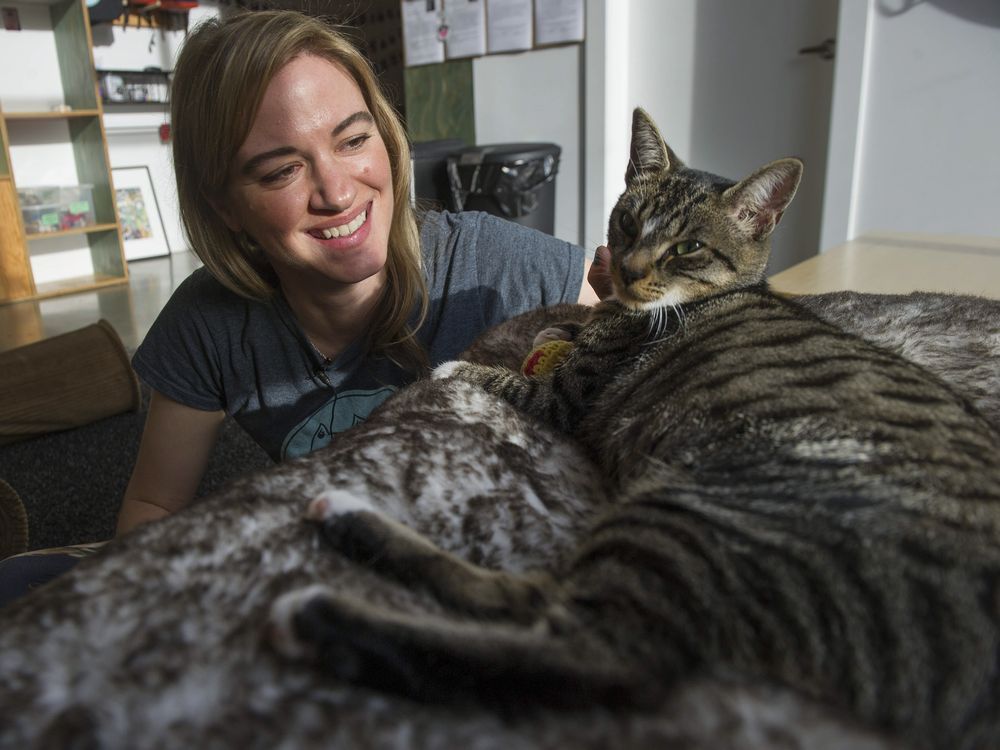 Vancouver Catfe celebrates one year in business | Vancouver Sun