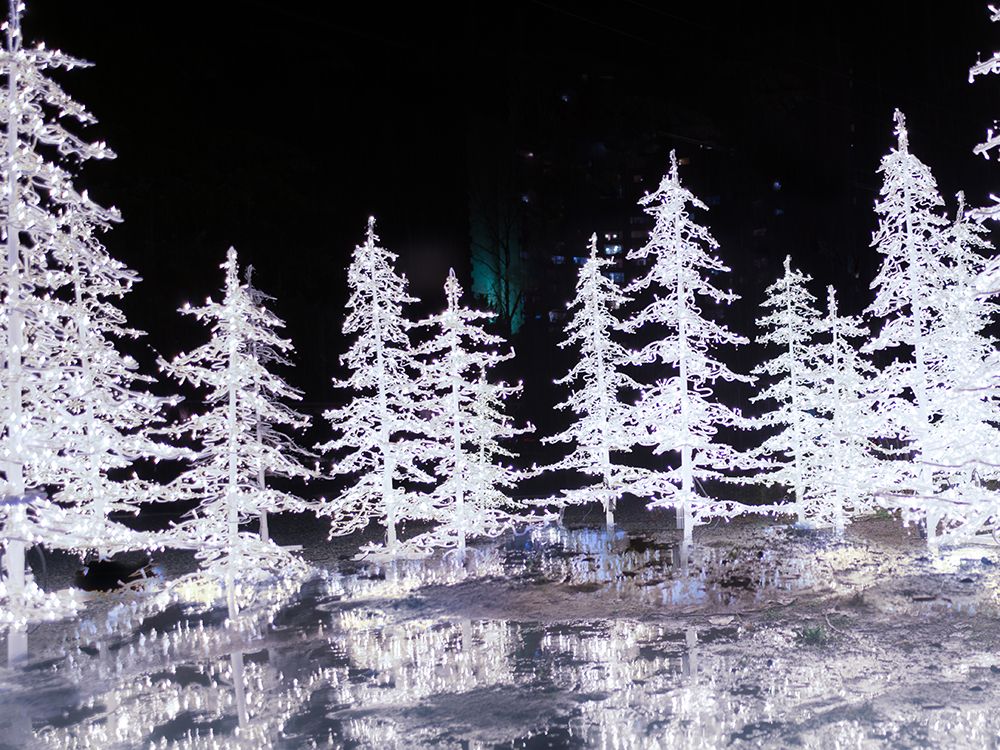 Enchanted Maze finds Christmas spirit | Vancouver Sun