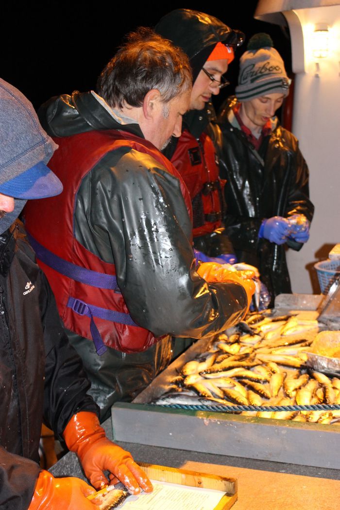 B.C.'s herring fishery: Of roe, risks, rewards in search of silver ...