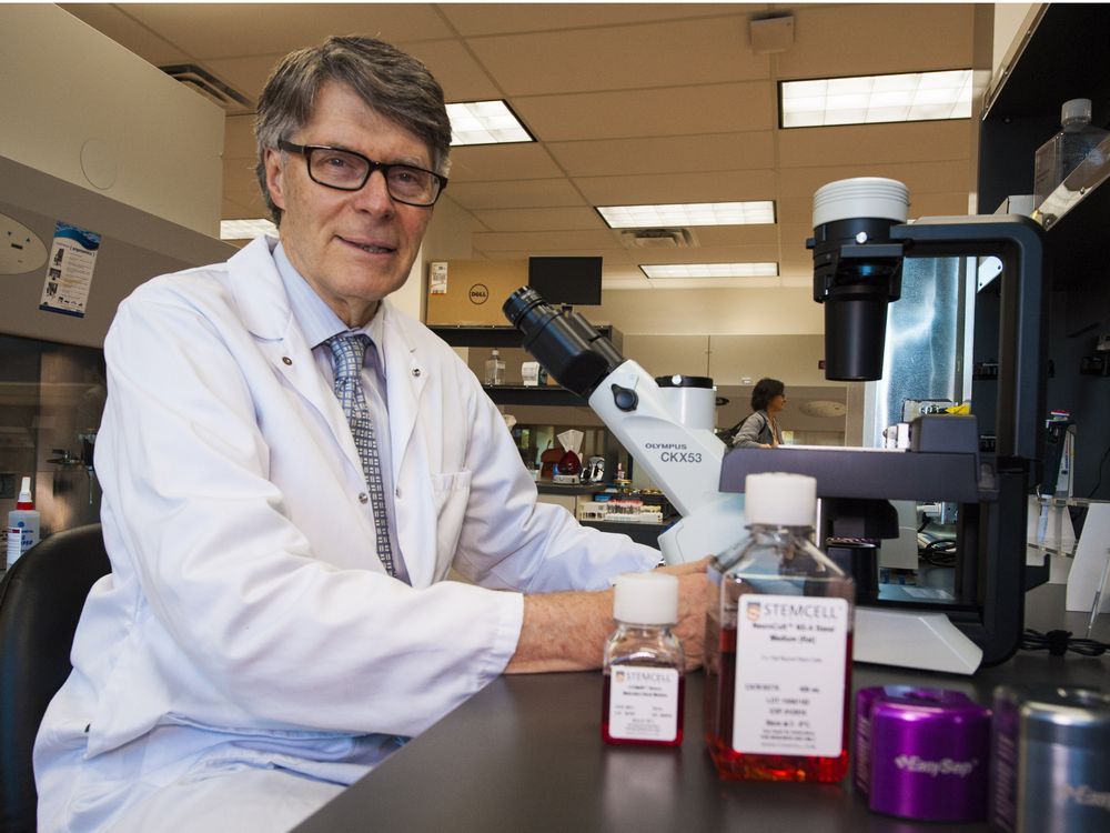 Opinion: How Global Talent Stream can improve Vancouver biotech sector ...