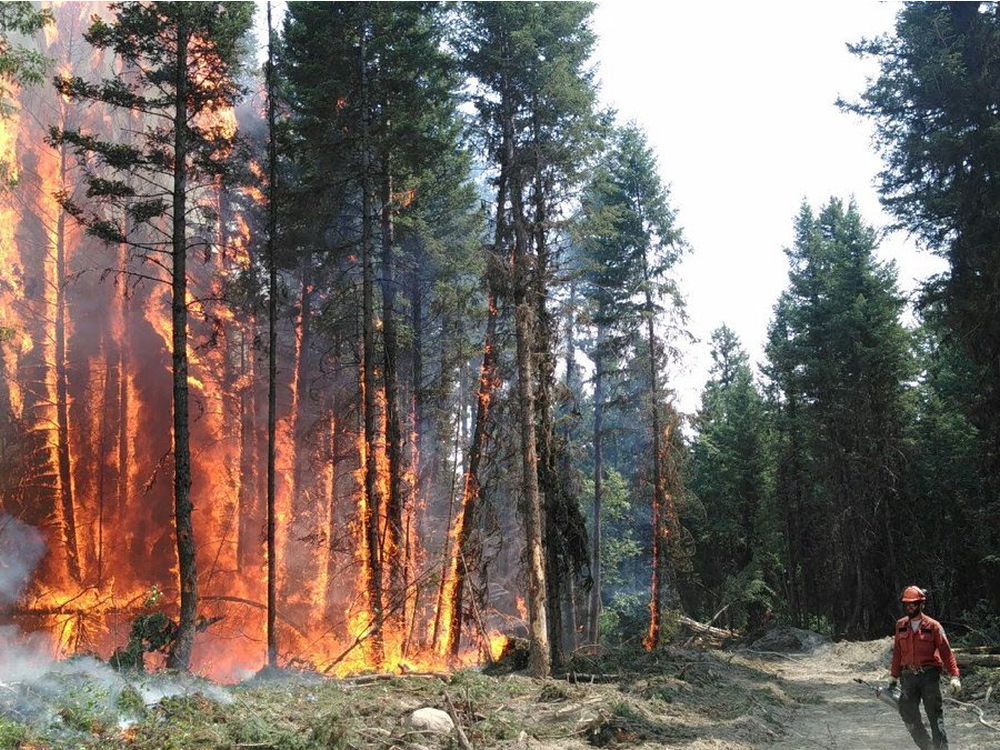 Wildfire in forces evacuations in Cranbrook area | Vancouver Sun
