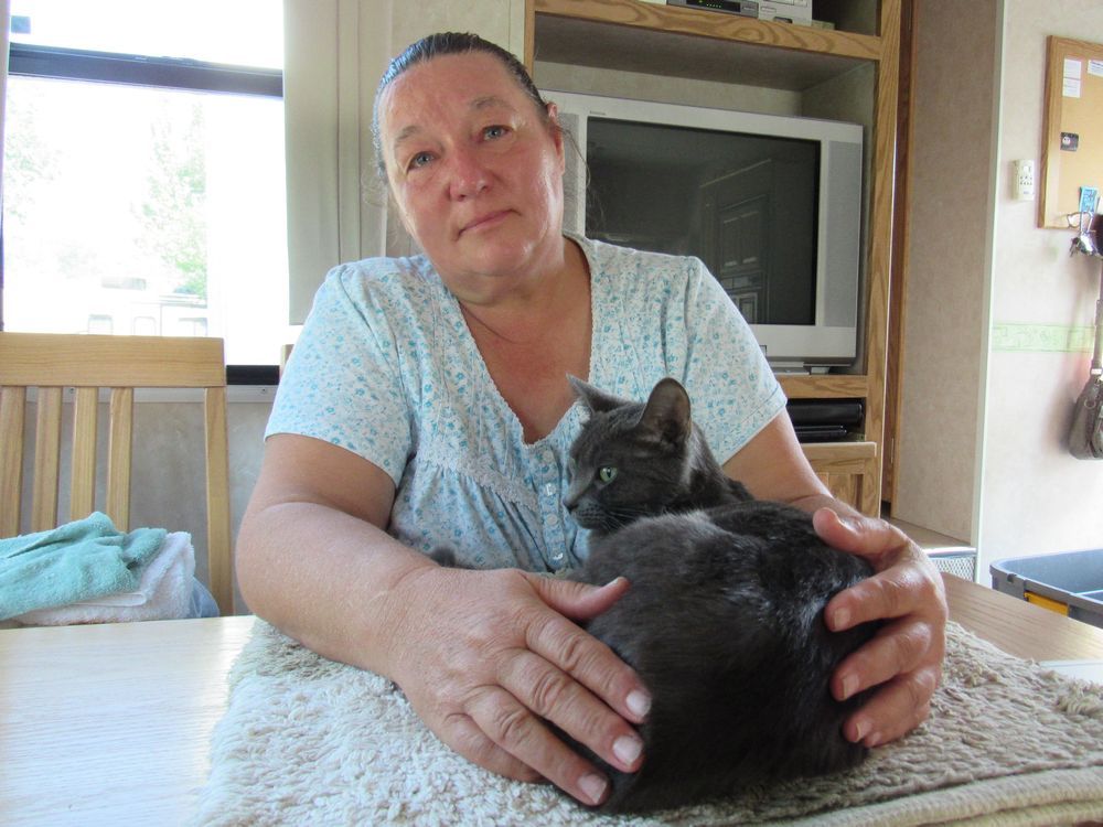 Ashcroft First Nation, Boston Flats rebuilding after wildfires ...