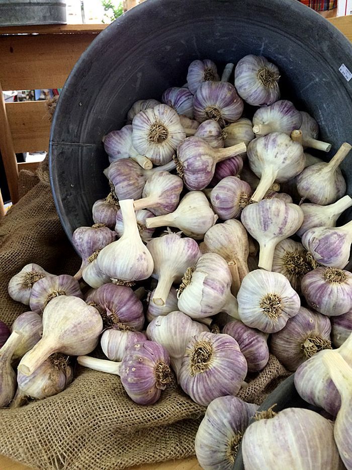 Brian Minter: Get ready to grow your own garlic | Vancouver Sun