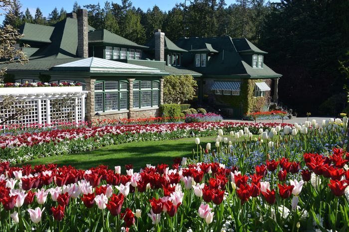 Look to beautiful Butchart Gardens for spring planting inspiration ...