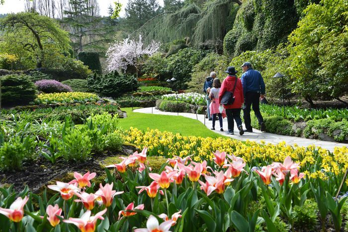 Look to beautiful Butchart Gardens for spring planting inspiration ...