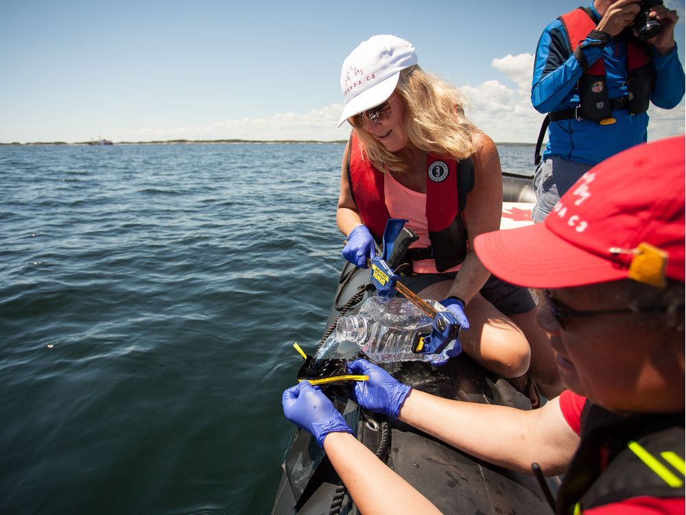 DNA tests on water samples provide glimpse into biodiversity on Canada ...