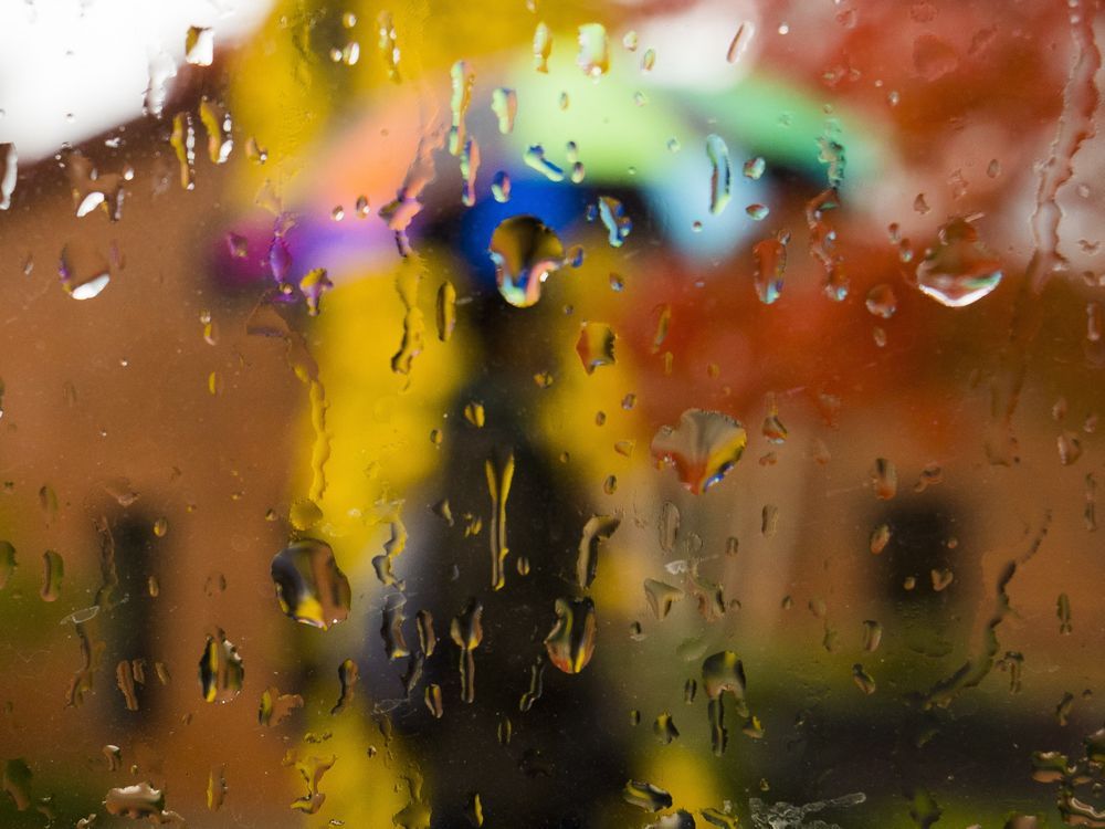 Vancouver weather: Rain and clouds all day give way to rain tonight ...