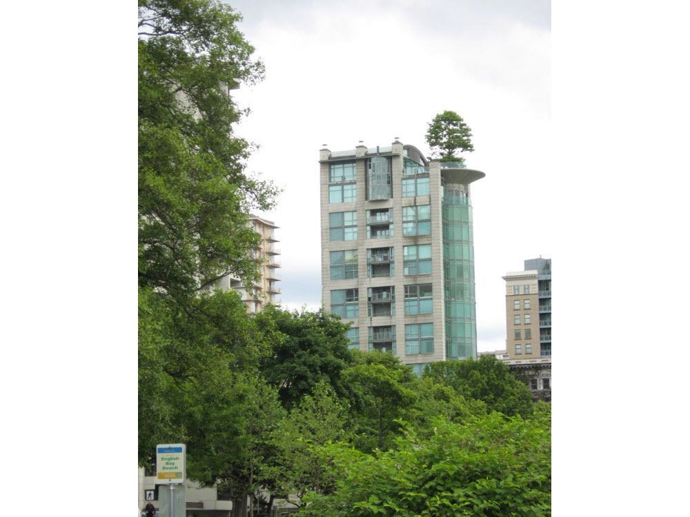 Iconic oak tree replaced atop Vancouver West End high-rise | Vancouver Sun