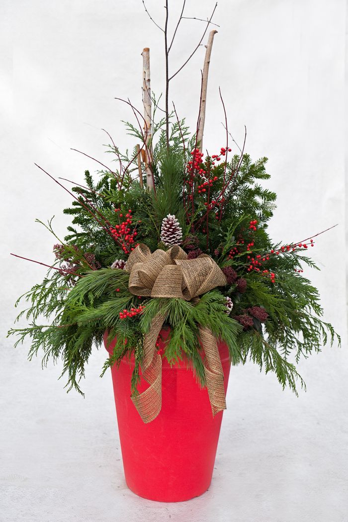 Decorate patios for winter with fragrant, fresh-cut branches ...