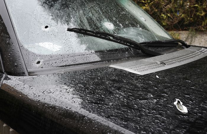 Federal government appeals immigration order releasing convicted gang ...