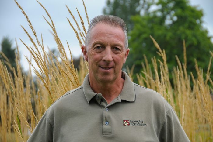 Brian Minter: Ornamental grasses now a garden mainstay | Vancouver Sun