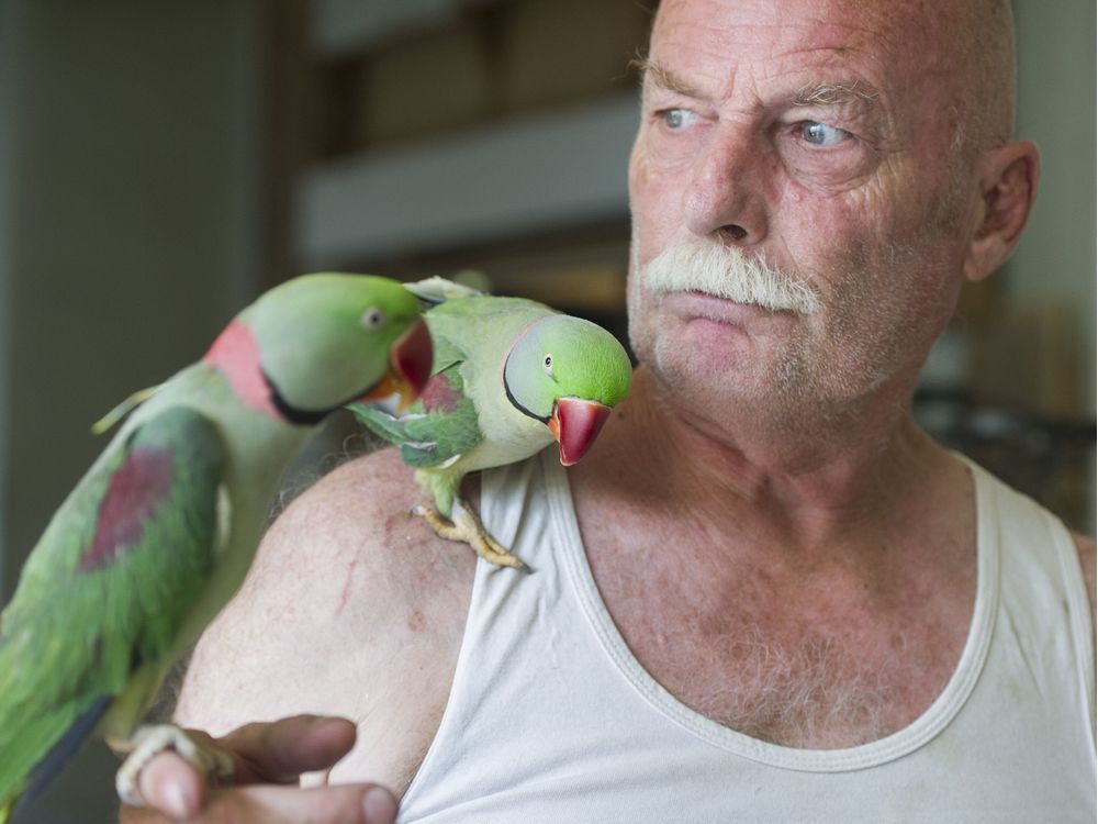 Main Street's 'bird man' forced to fly the coop | Vancouver Sun