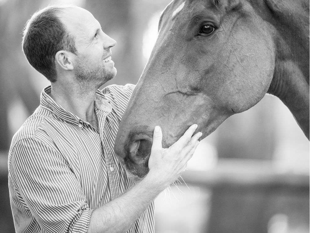 Inside the world of horses: New book details training, horsemanship ...
