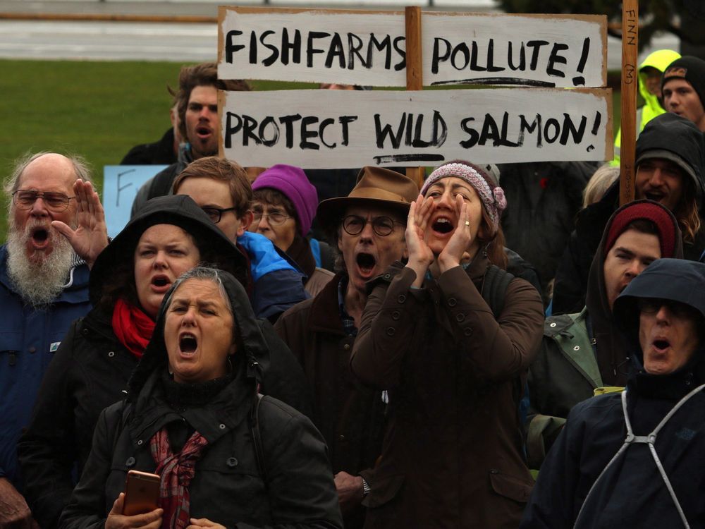 Salmon farm granted injunction against activists | Vancouver Sun