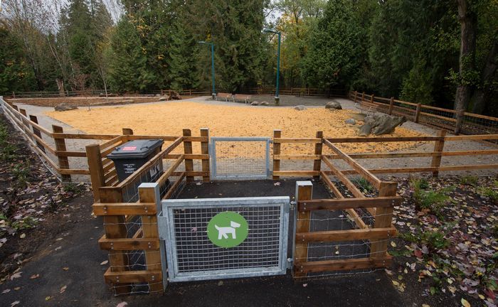 New dog park and trails improve public access to Renfrew Ravine ...