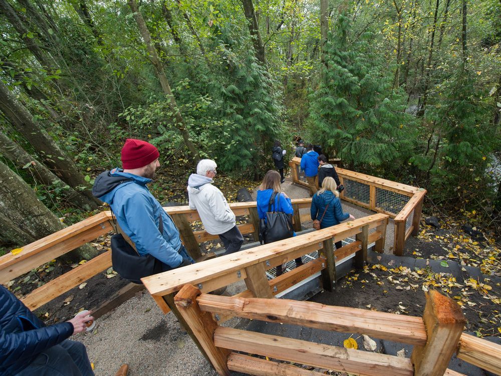 New dog park and trails improve public access to Renfrew Ravine ...