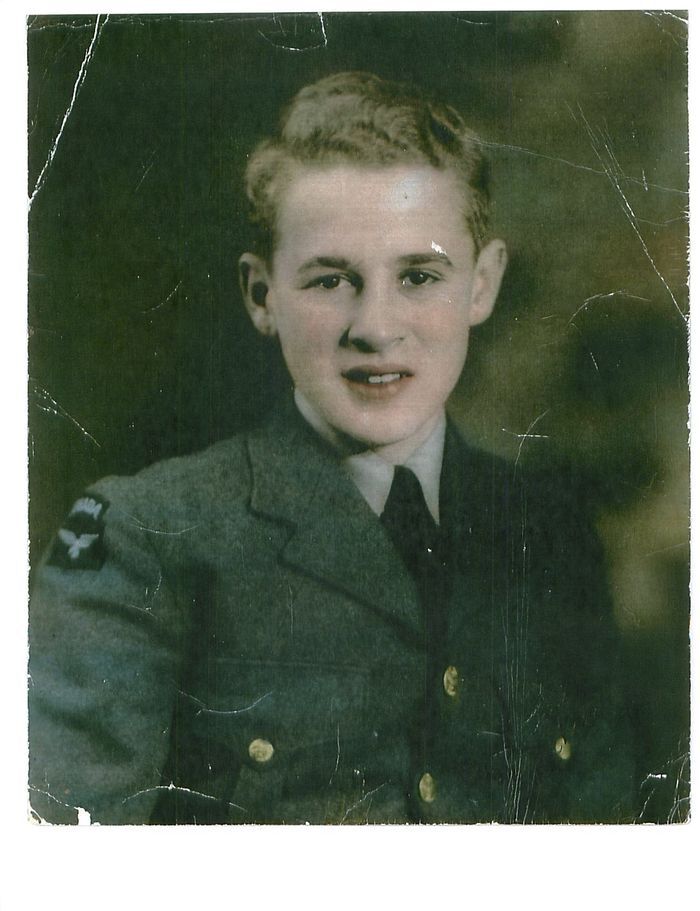 Sports radio icon Big Al Davidson saw battle as a teen in the air force ...