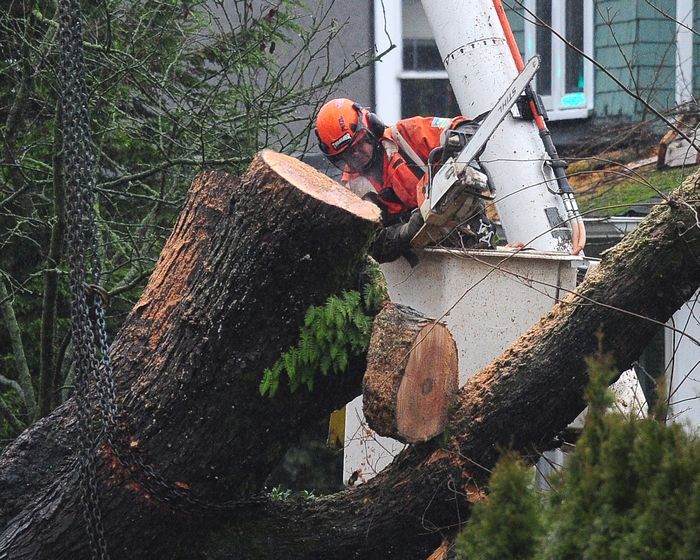 Hydro crews continue windstorm repair work on Christmas Day | Vancouver Sun