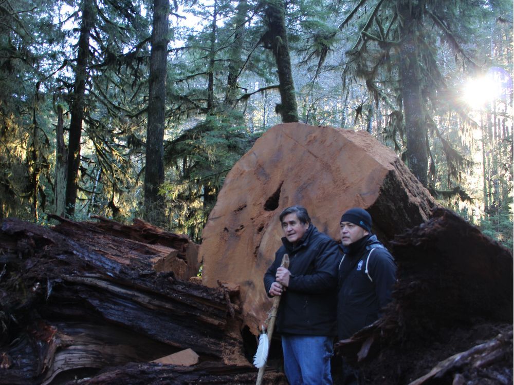 'Language Revitalization Pole' to preserve Indigenous languages ...