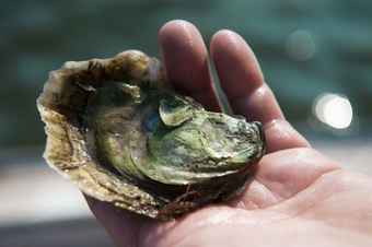 Prince Edward Island is shellfish heaven for seafood-loving travellers ...