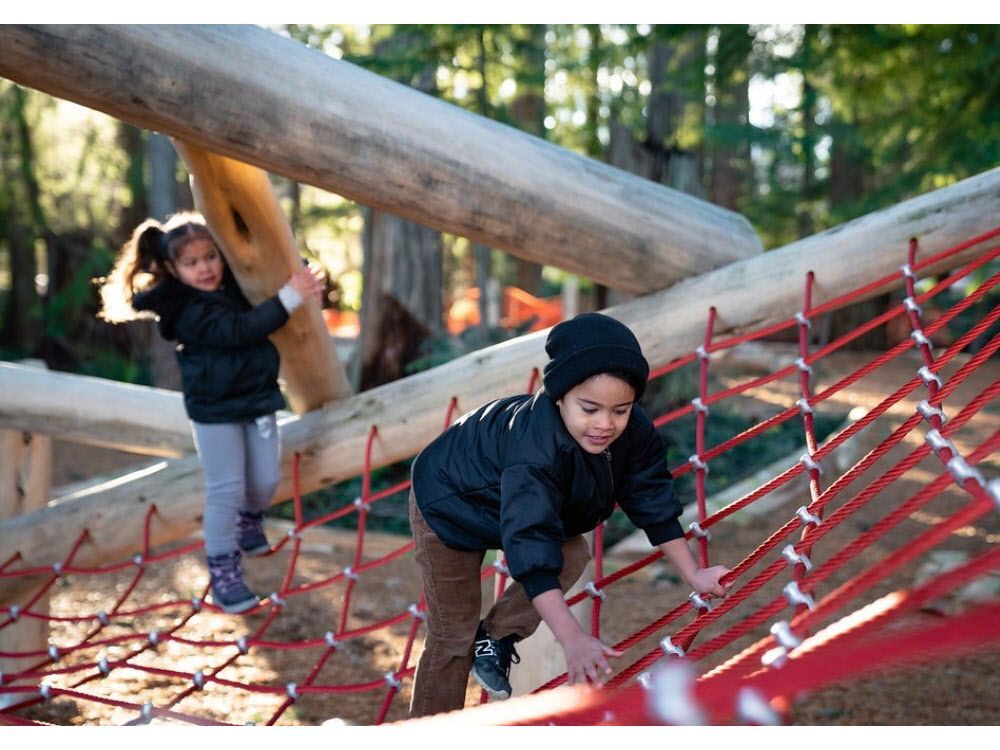 Cedar Walk at Lelem to launch new UBC community | Vancouver Sun