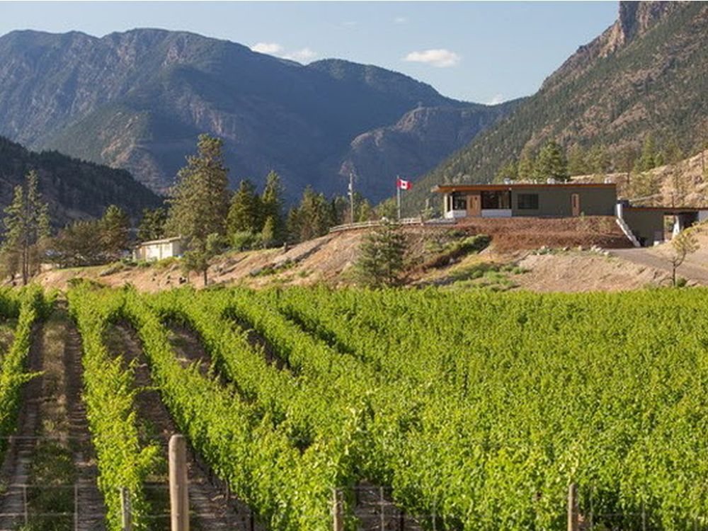 Anthony Gismondi: Fort Berens Winery is a dream come true | Vancouver Sun
