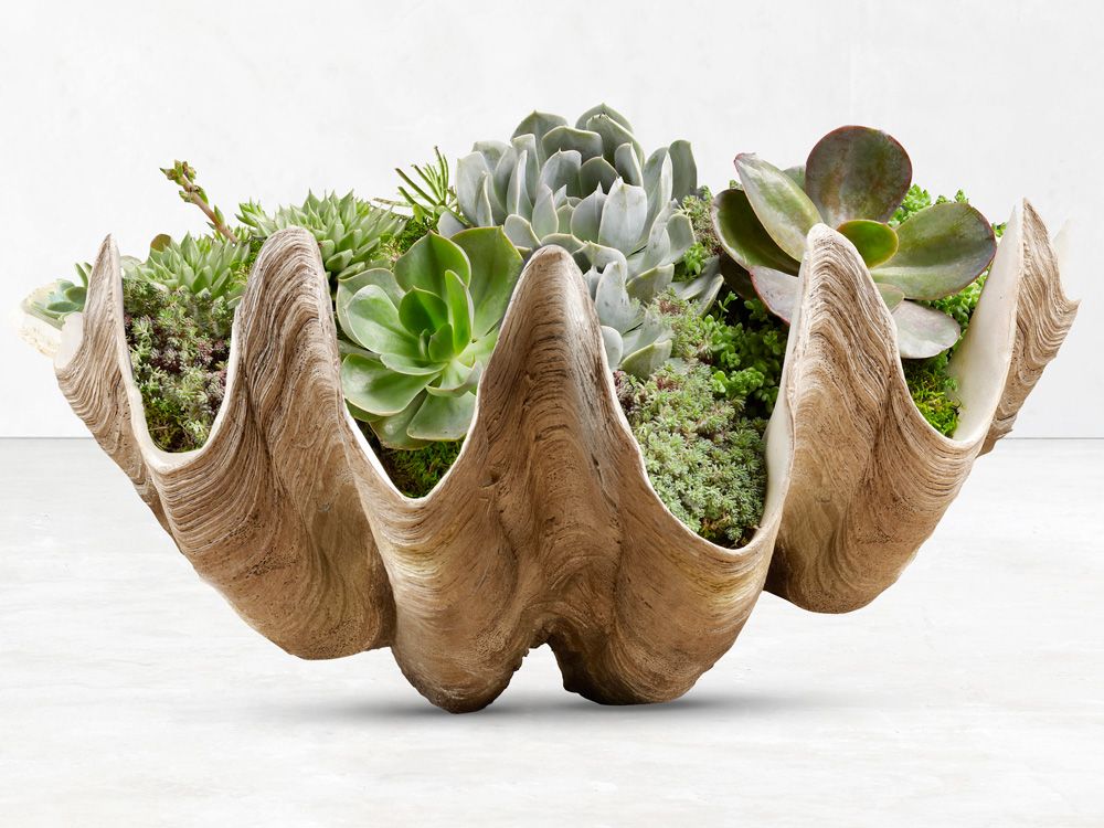 5 things to transform your outdoor space | Vancouver Sun