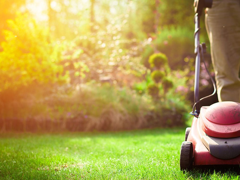 How to keep your yard looking great this season | Vancouver Sun