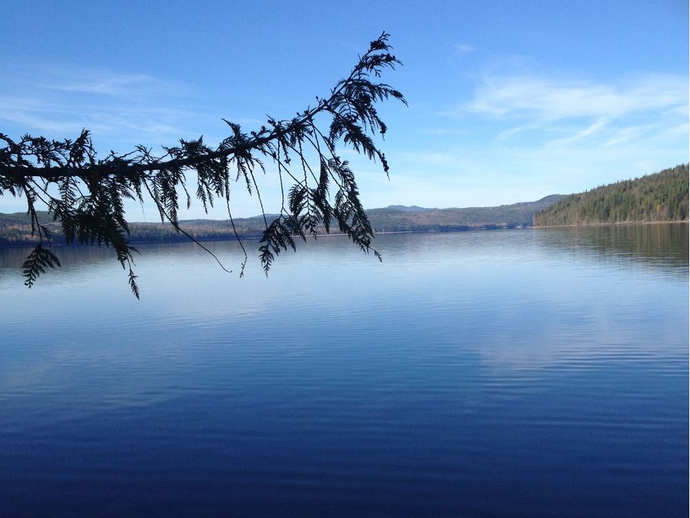 Christine McLean, Judith Pringle, Doug Watt: Communities sacrificed ...