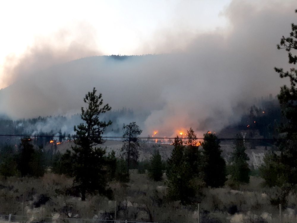 Wildfire near Oliver prompts evacuation alert | Vancouver Sun
