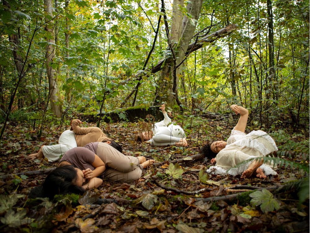 Contemporary dance event showcases local talent to the world ...