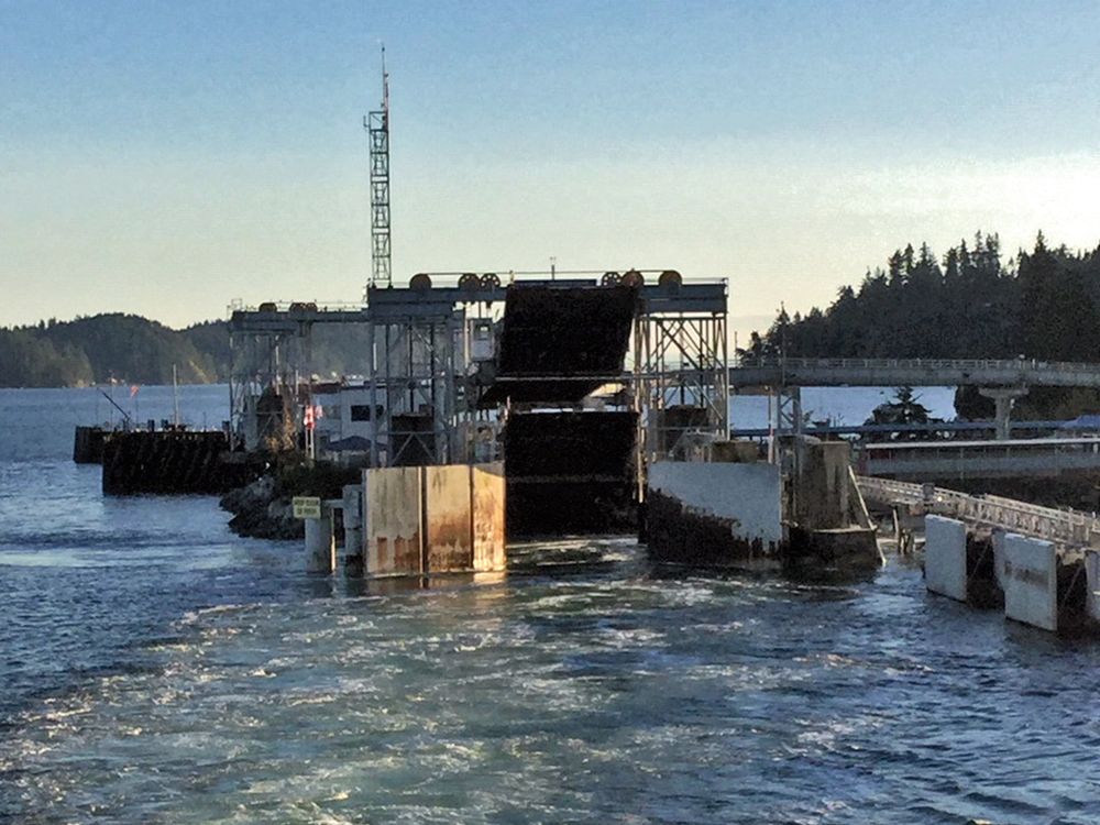 B.C. Ferries worker nearly hit at Sunshine Coast ferry terminal ...