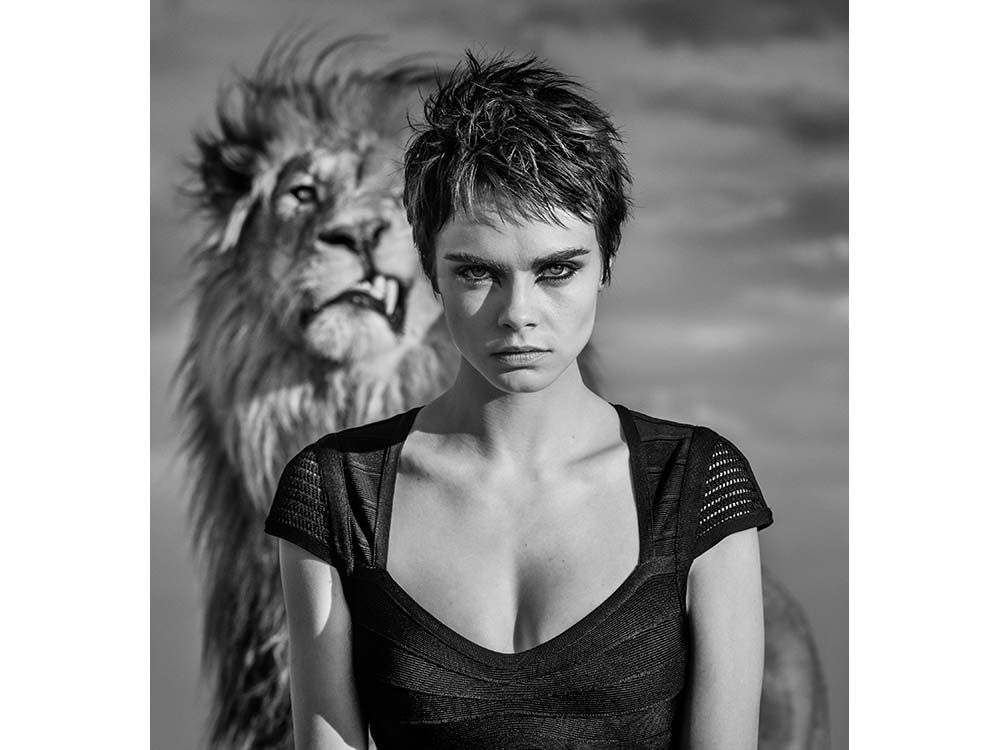 Renowned photographer David Yarrow talks Vancouver exhibition ...