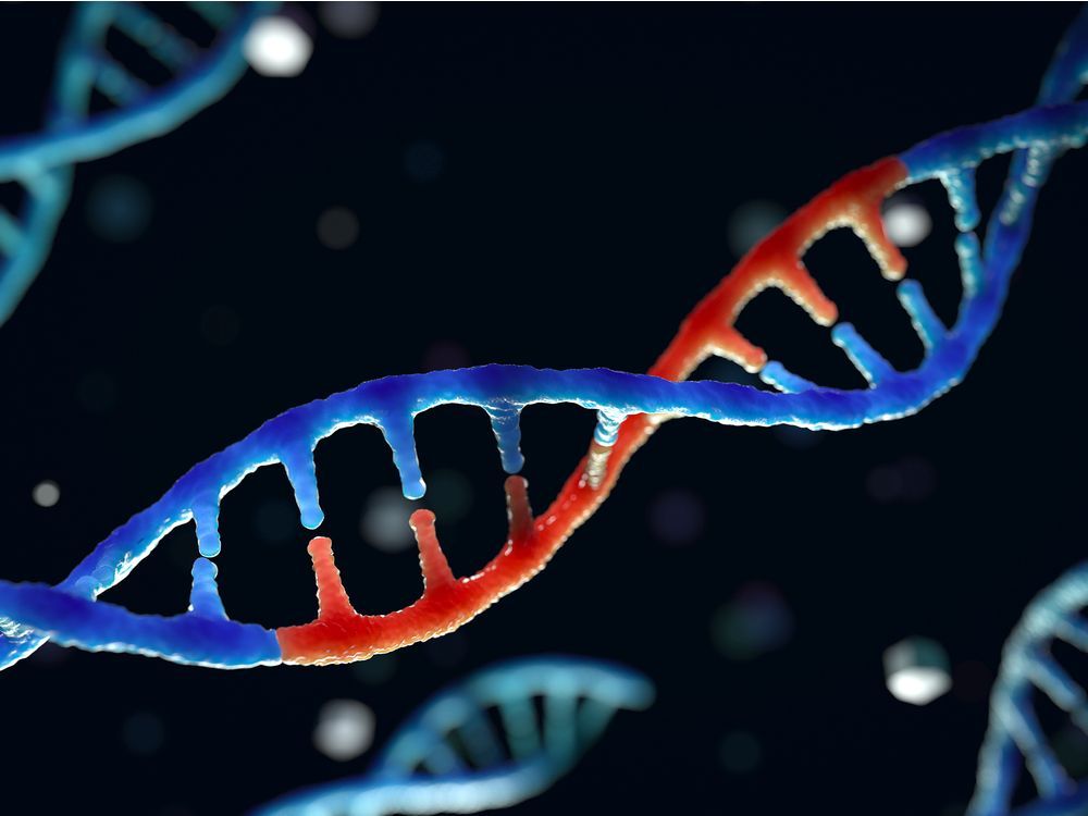 Gene editing might alter our DNA. It might destroy our humanity too ...