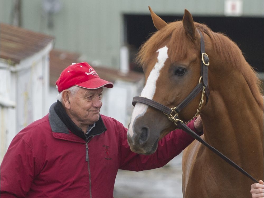 Legendary Hastings Racecourse horse whisperer Troy Taylor dead at 88 ...