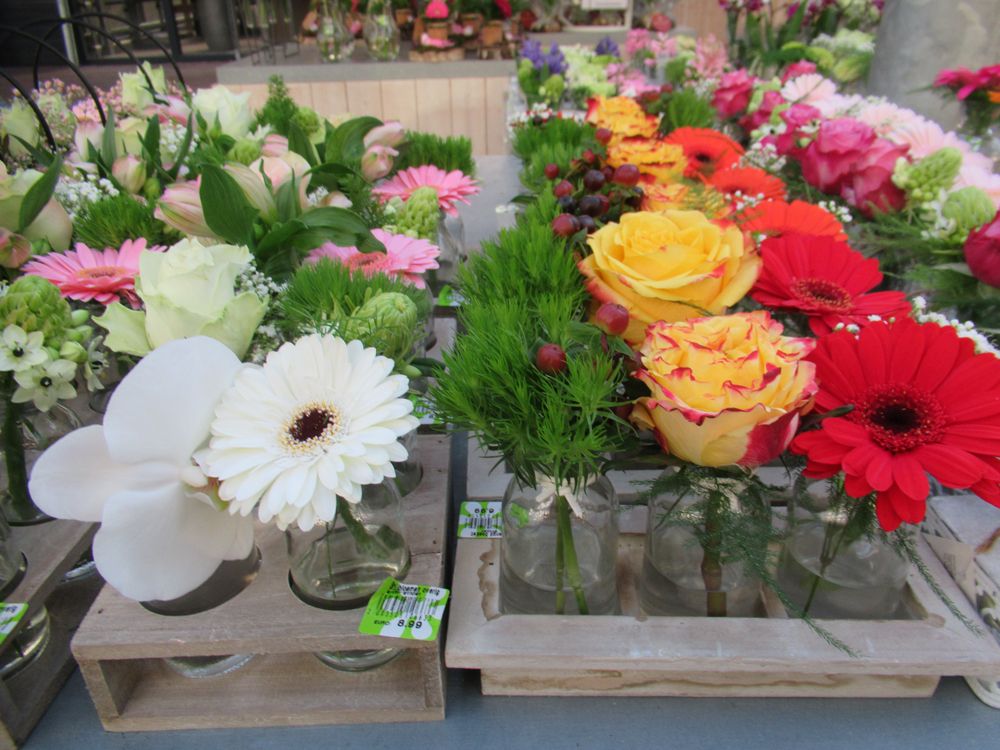 Brian Minter: Gardening in the Euro zone | Vancouver Sun