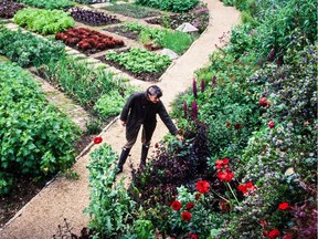 Within two years the Popes' garden became a masterpiece of colour ...