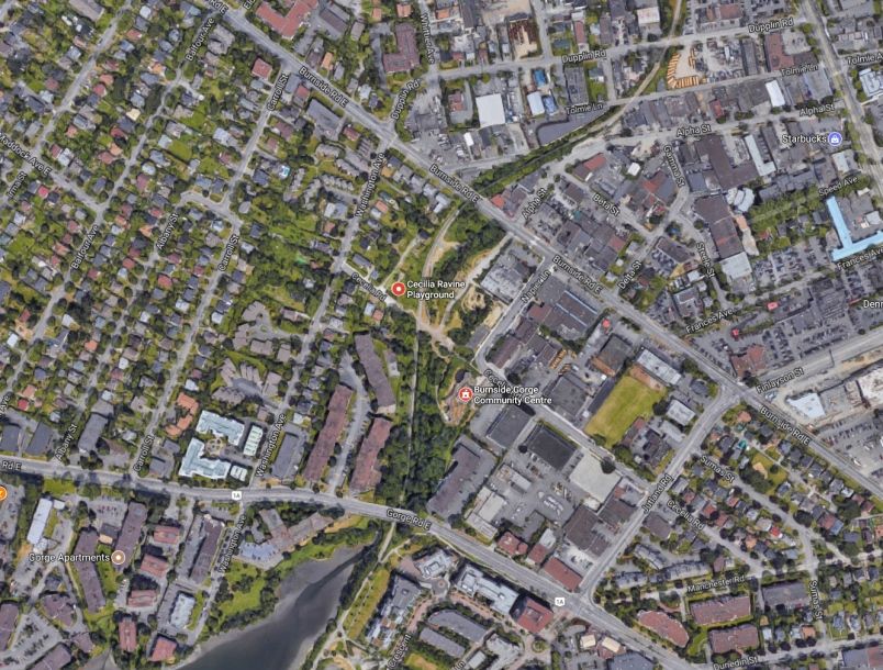 Woman, 64, assaulted while taking photo of dog near Victoria community ...