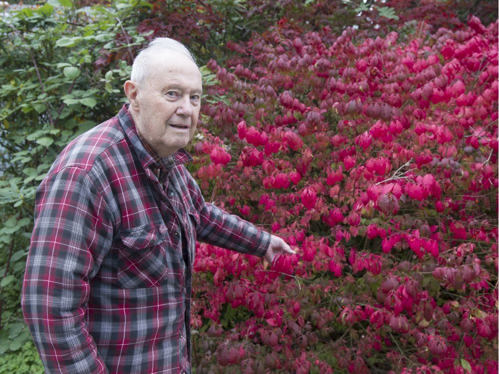 Unique garden set to move to arboretum in Langley | Vancouver Sun
