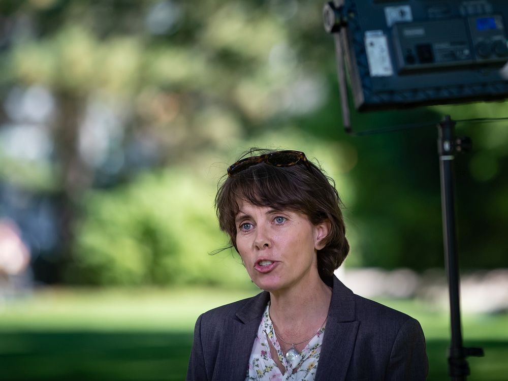 BC Green Party vows to invest $1 billion into mental health under MSP ...