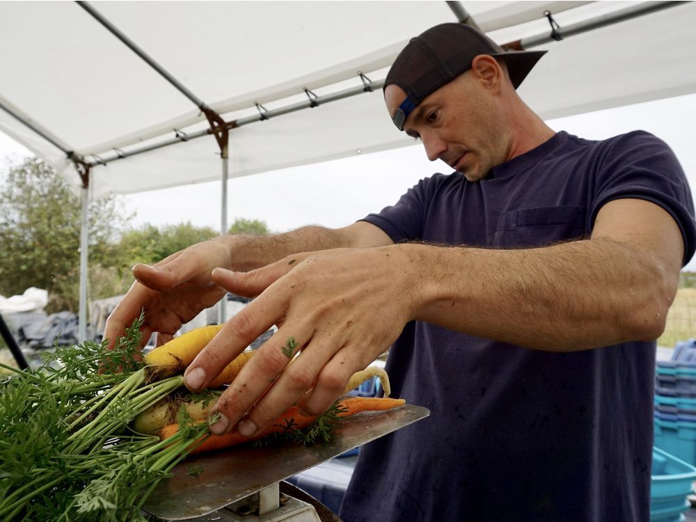 'The original farmers': Interest in First Nations farming revival ...