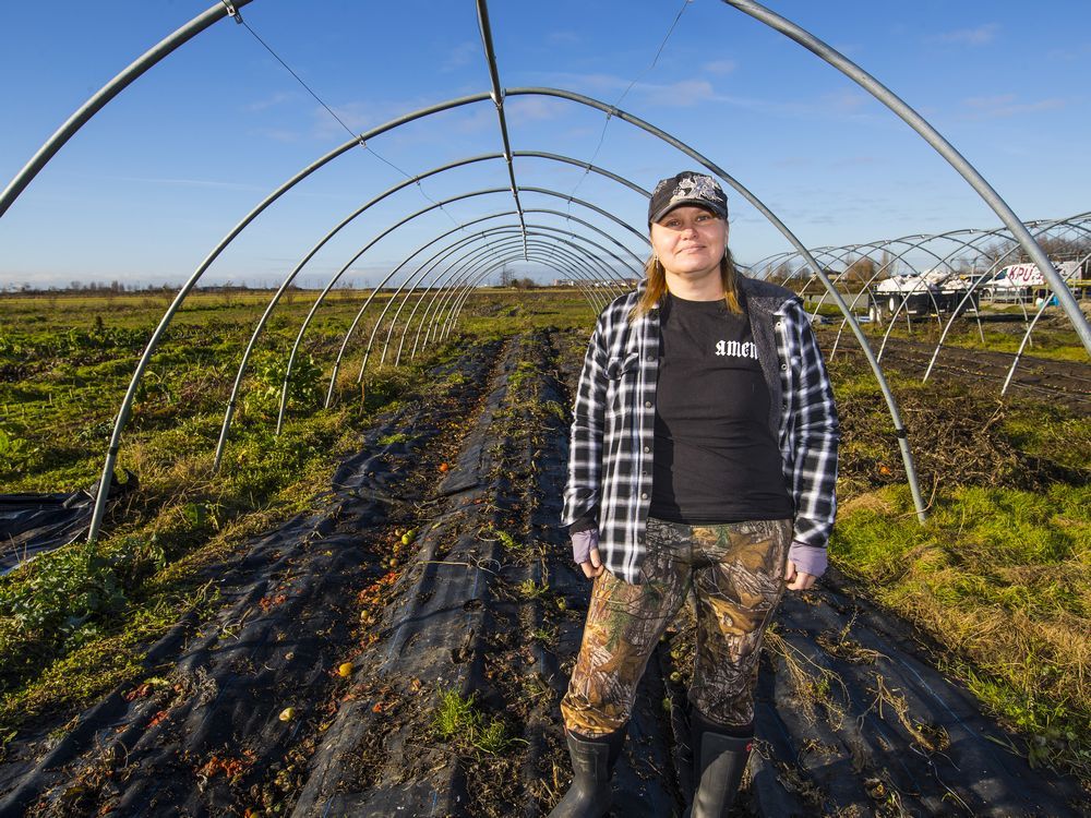 'The original farmers': Interest in First Nations farming revival ...