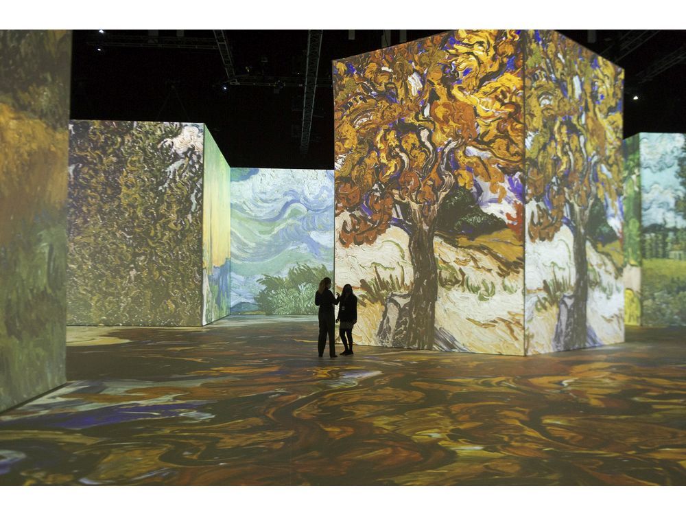 Photos: Photographer's look at the grandiose Imagine: Van Gogh ...